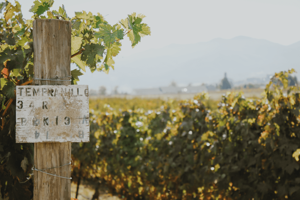 Introducing RoxyAnn's 2019 Tempranillo - RoxyAnn Winery